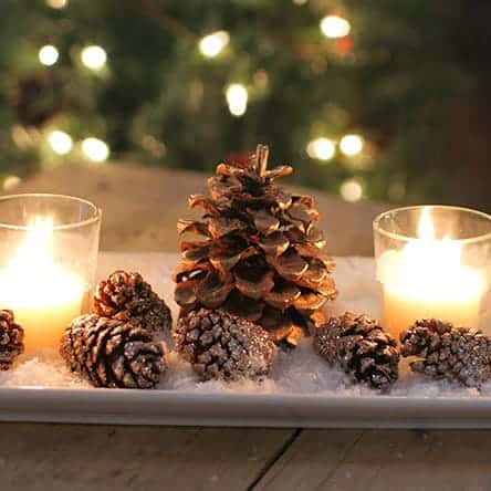 DIY // WINTER PINECONE DECOR – Oh So Lovely Blog