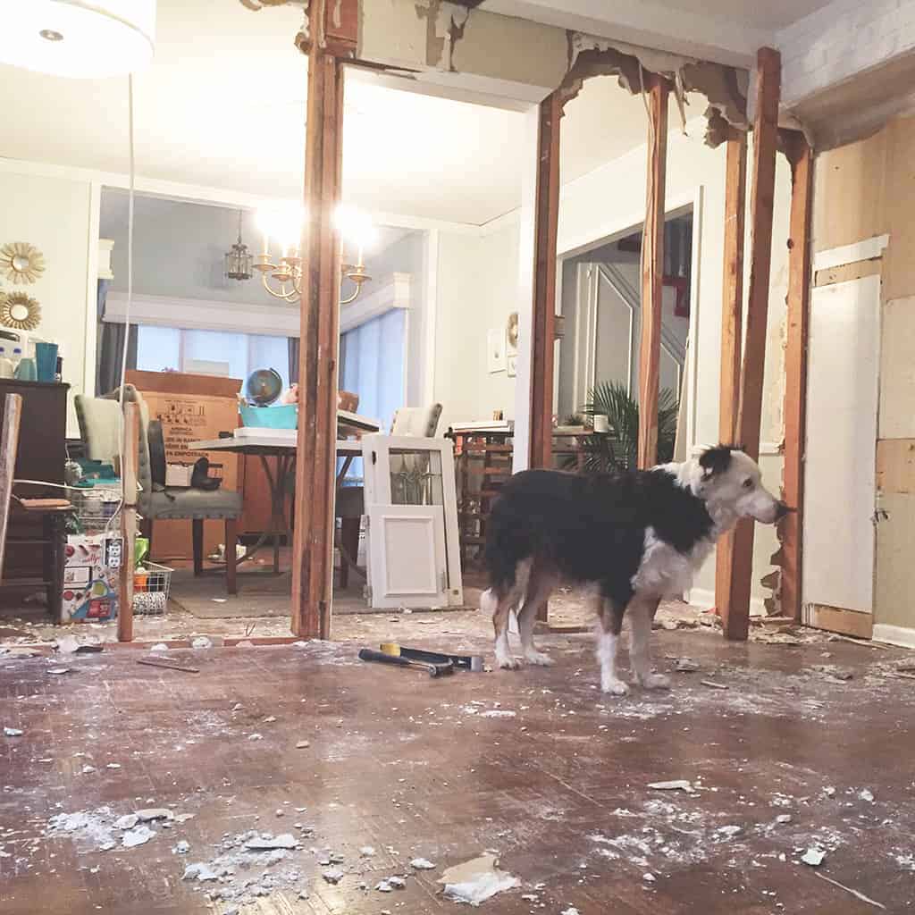 Our DIY kitchen demolition demo and renovation on a budget