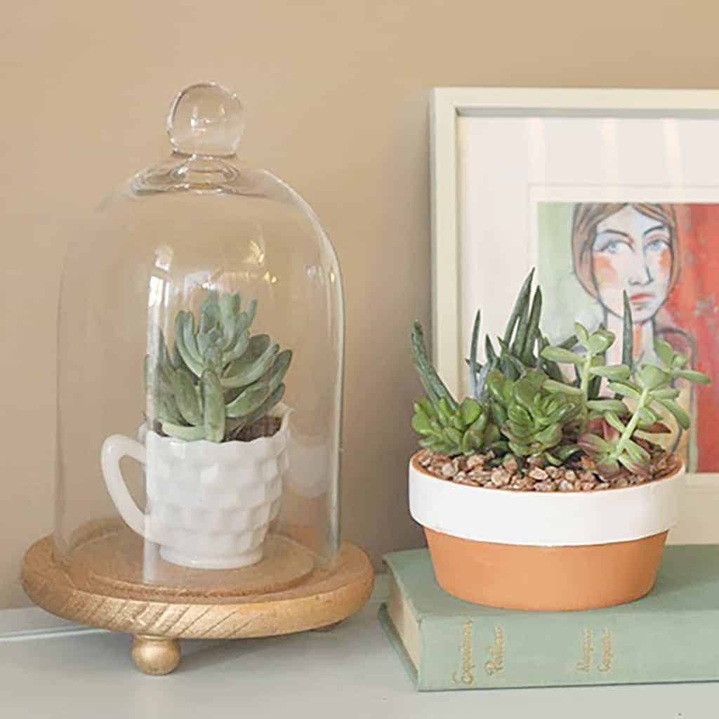 DIY SUCCULENT TERRARIUM Oh So Lovely Blog diy-succulent-terrarium-oh-so-lovely-blog