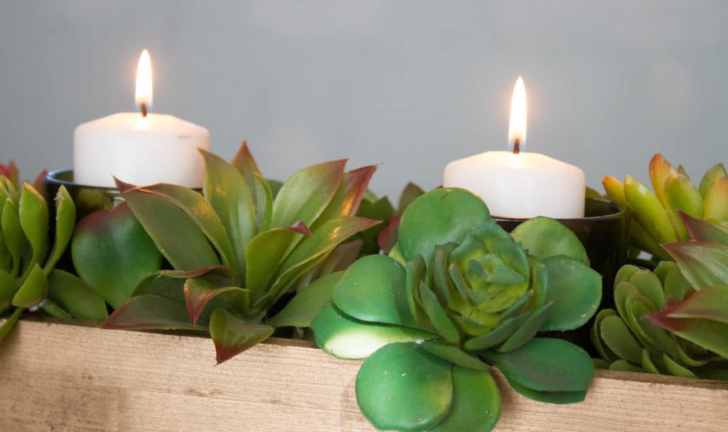 Affordable, cute, and easy DIY succulent centerpiece tutorial
