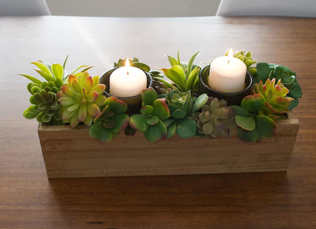 Affordable, cute, and easy DIY succulent centerpiece tutorial