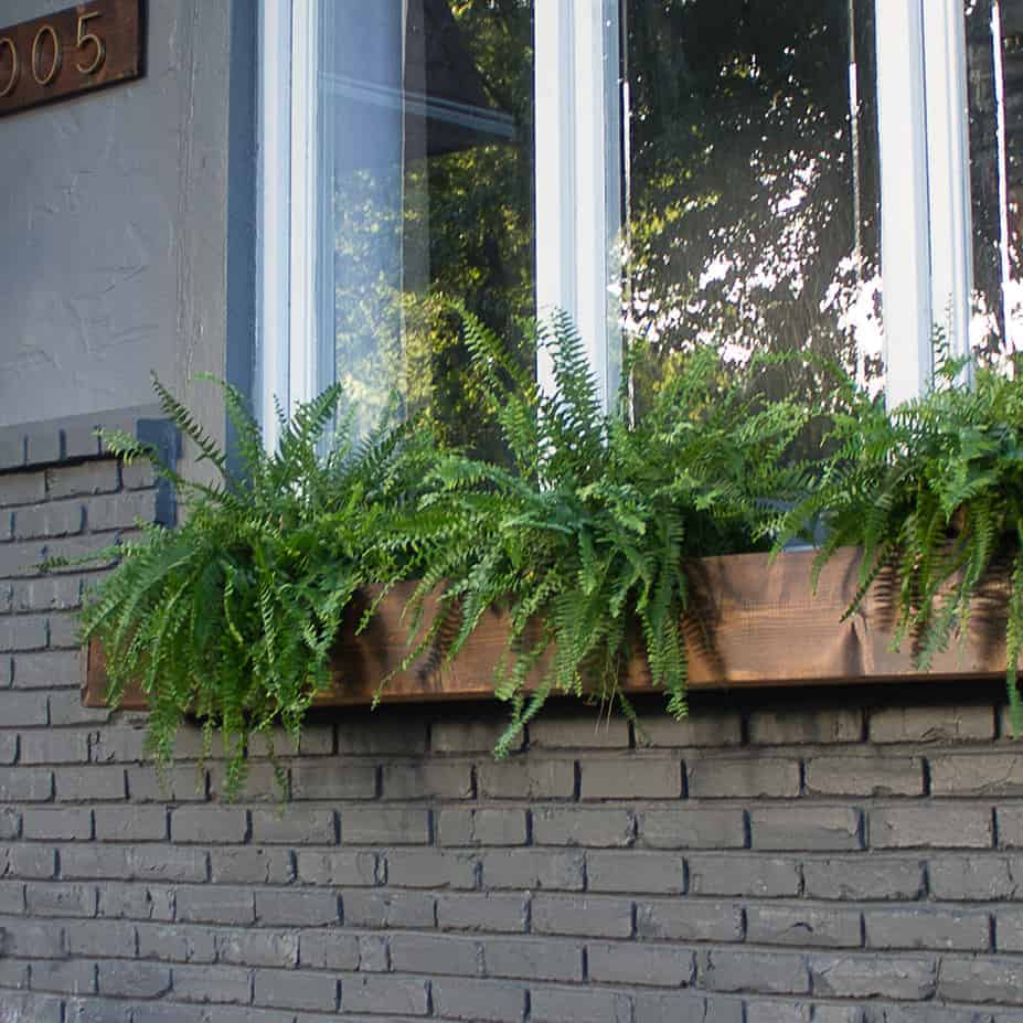 Add some curb appeal to your house with this DIY window box tutorial