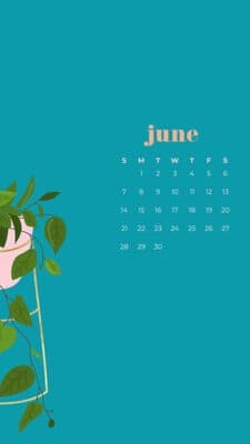 Free June wallpapers — 9 designs in Sunday & Monday starts