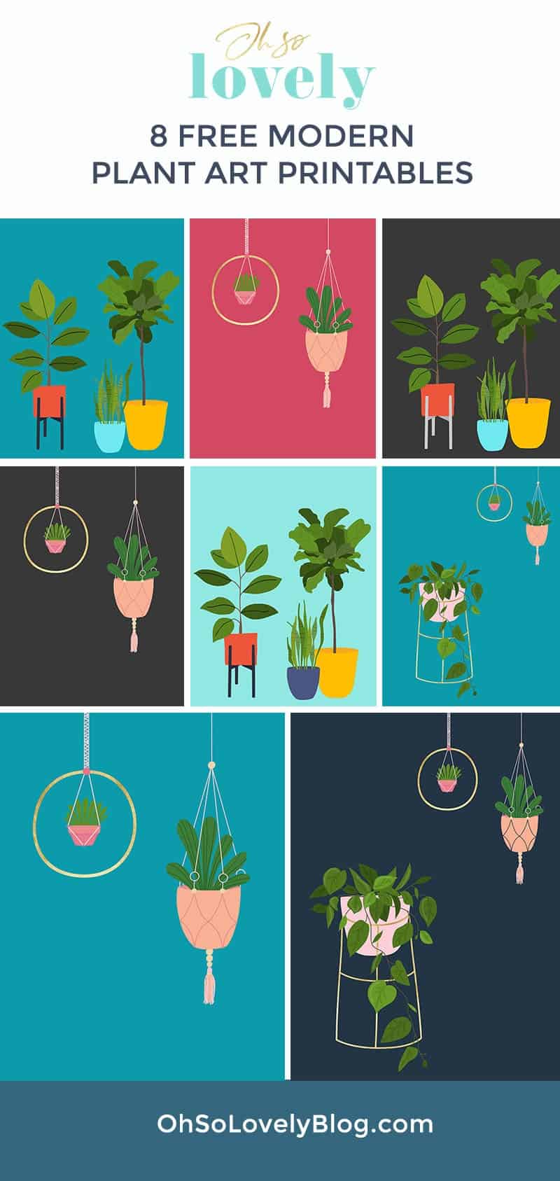 Free modern plant printables — 8 colorful and fun options to choose from!