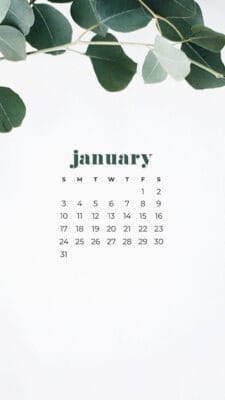 January 2021 calendar wallpapers – 30 FREE designs to choose from!