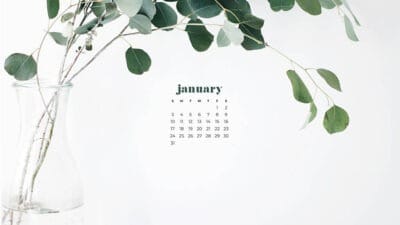 January 2021 calendar wallpapers – 30 FREE designs to choose from!