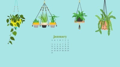 January 2021 calendar wallpapers – 30 FREE designs to choose from!