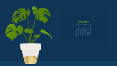 January 2021 calendar wallpapers – 30 FREE designs to choose from!