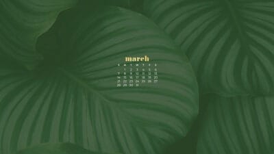 It's March 2021 wallpaper time! 30 cute options for desktop and phone.