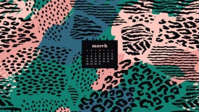 It's March 2021 wallpaper time! 30 cute options for desktop and phone.