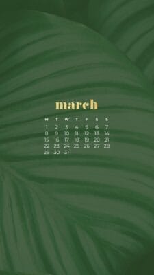 It's March 2021 wallpaper time! 30 cute options for desktop and phone.