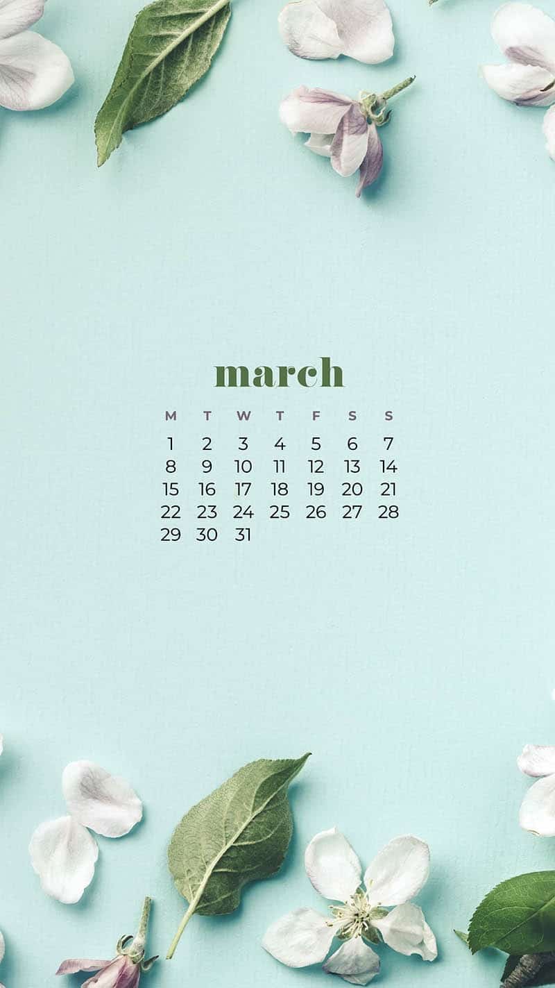 It's March 2021 wallpaper time! 30 cute options for desktop and phone.