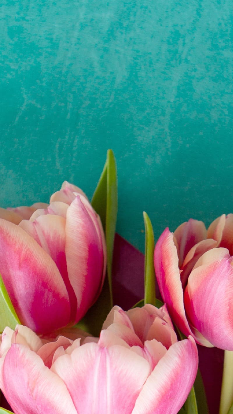 April 2021 calendar wallpapers – 30 FREE & cute design options!