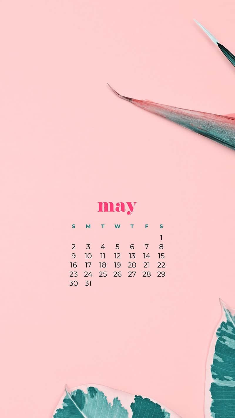May 2021 wallpaper calendars – 30 FREE, cute, and colorful options!