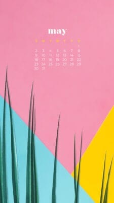 May 2021 wallpaper calendars – 30 FREE, cute, and colorful options!