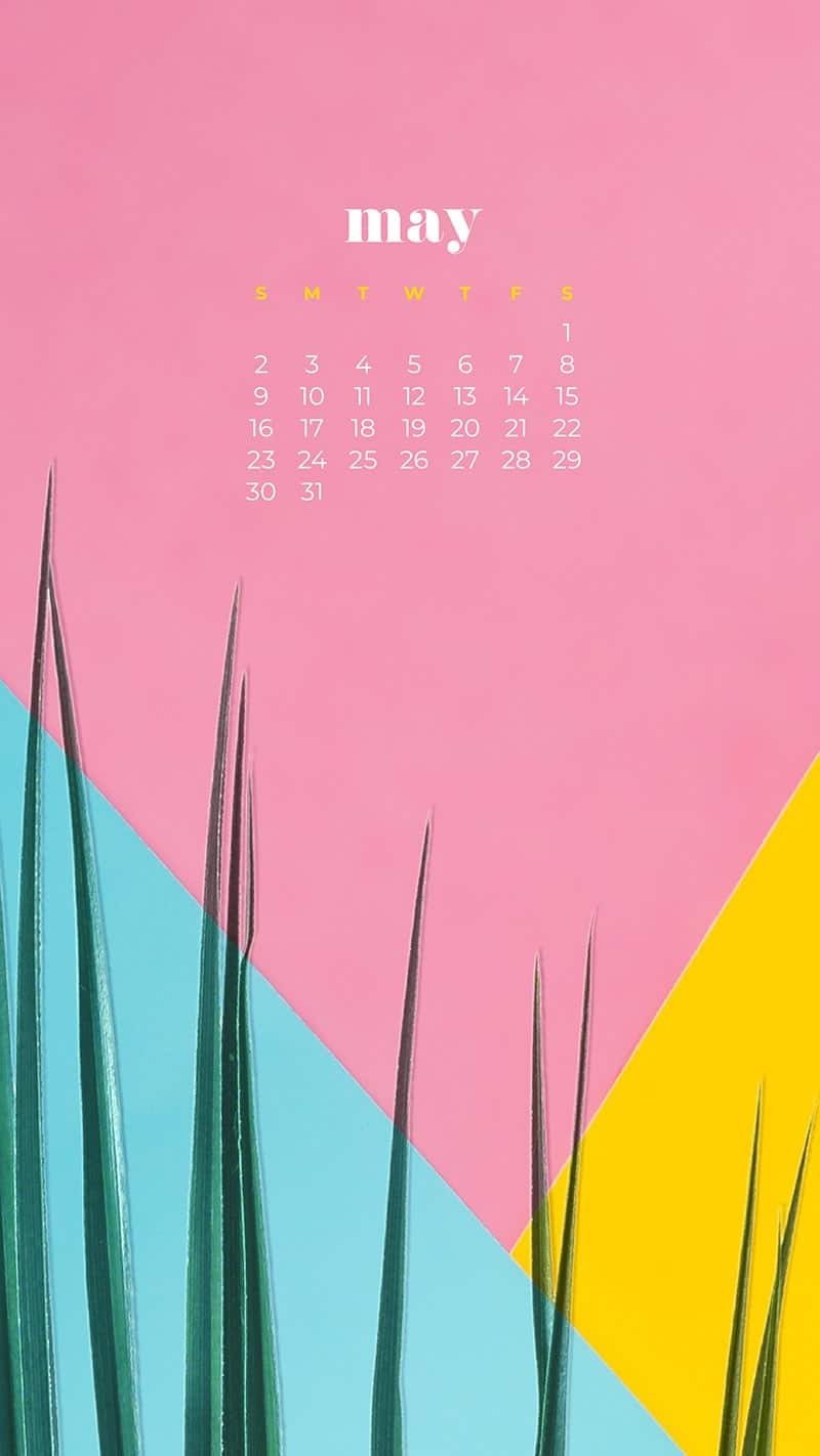 May 2021 wallpaper calendars – 30 FREE, cute, and colorful options!