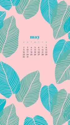 May 2021 wallpaper calendars – 30 FREE, cute, and colorful options!