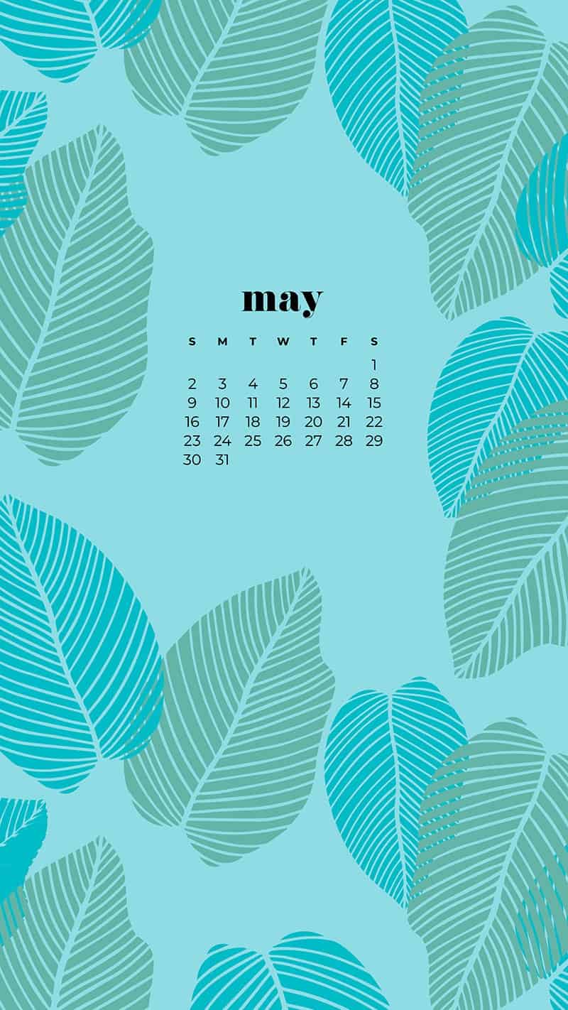 May 2021 wallpaper calendars – 30 FREE, cute, and colorful options!