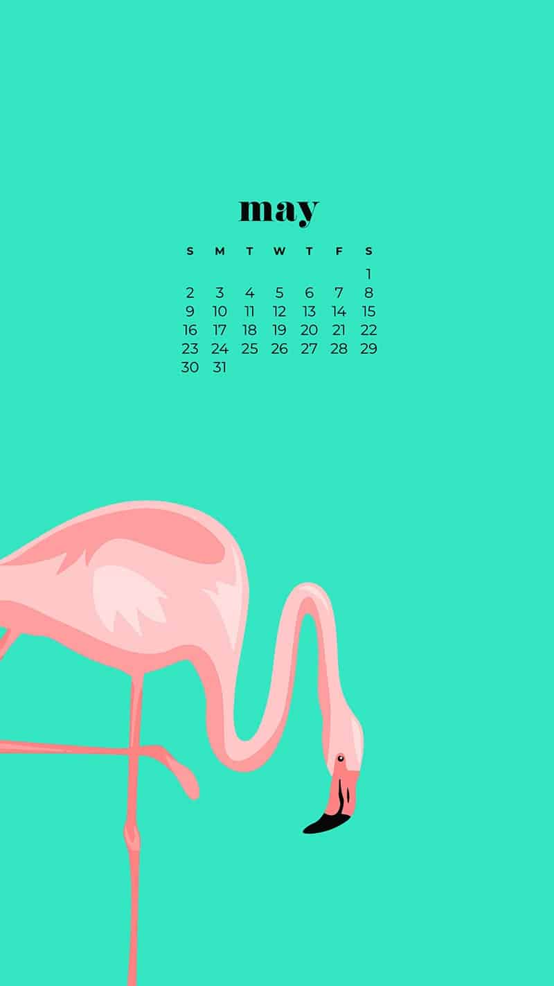 May 2021 wallpaper calendars – 30 FREE, cute, and colorful options!