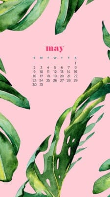 May 2021 wallpaper calendars – 30 FREE, cute, and colorful options!