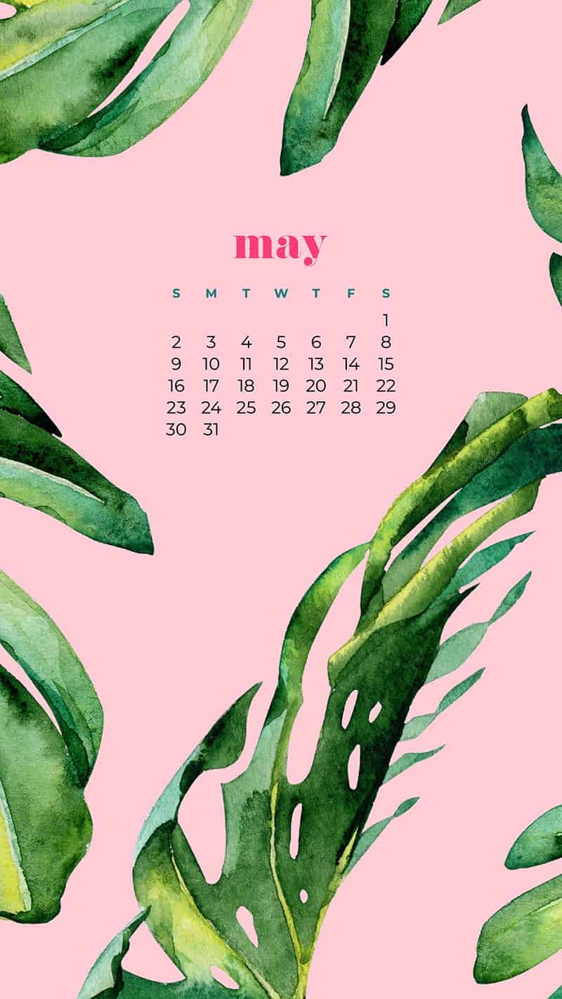 May 2021 wallpaper calendars – 30 FREE, cute, and colorful options!