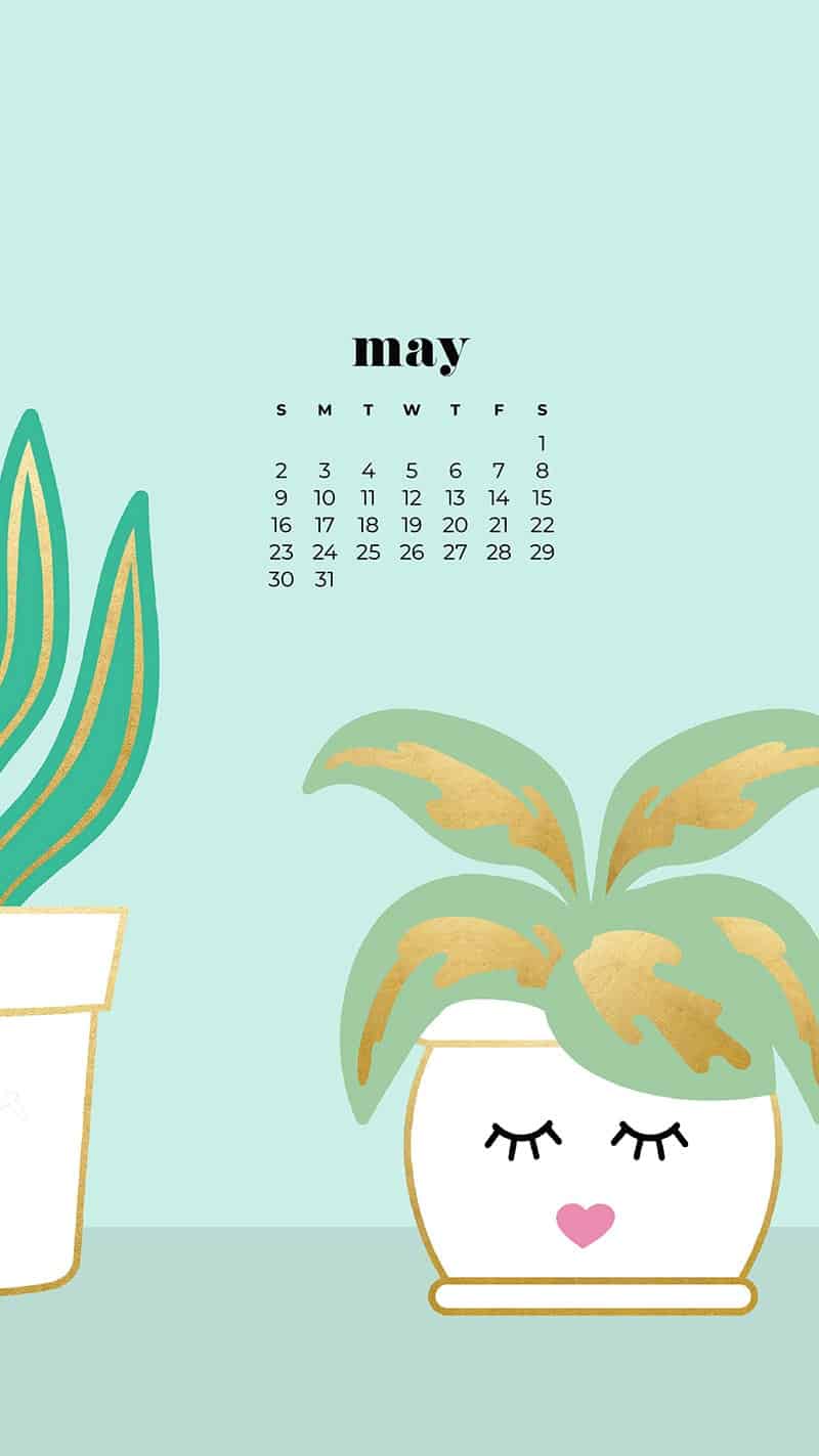 May 2021 wallpaper calendars – 30 FREE, cute, and colorful options!