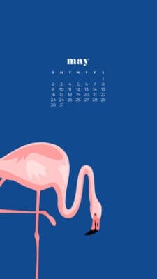 May 2021 wallpaper calendars – 30 FREE, cute, and colorful options!