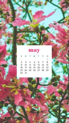 May 2021 wallpaper calendars – 30 FREE, cute, and colorful options!
