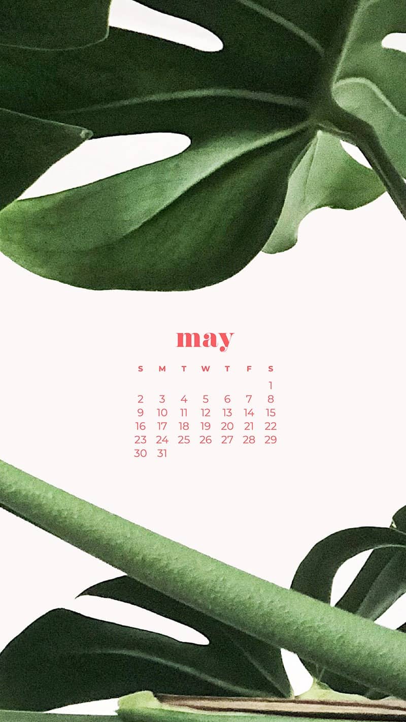 May 2021 wallpaper calendars – 30 FREE, cute, and colorful options!