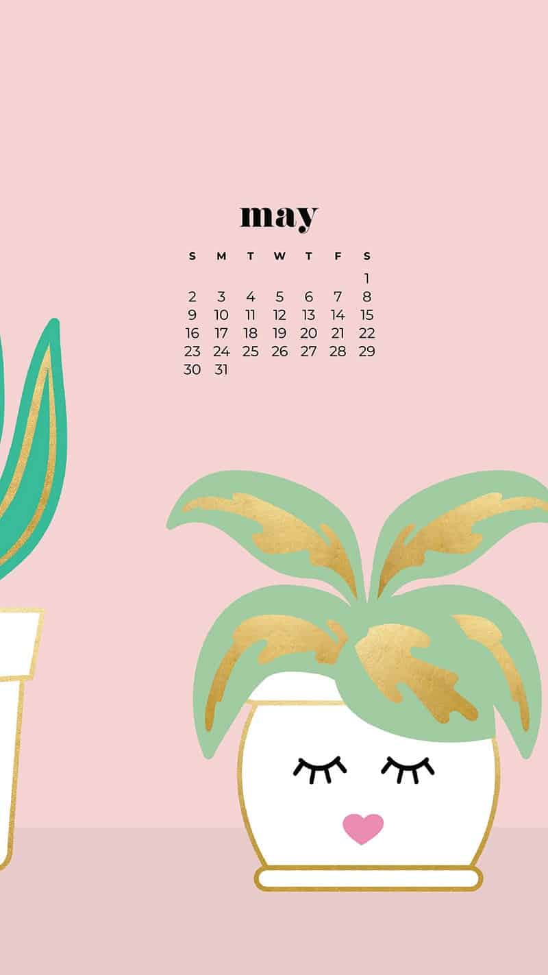 May 2021 wallpaper calendars – 30 FREE, cute, and colorful options!