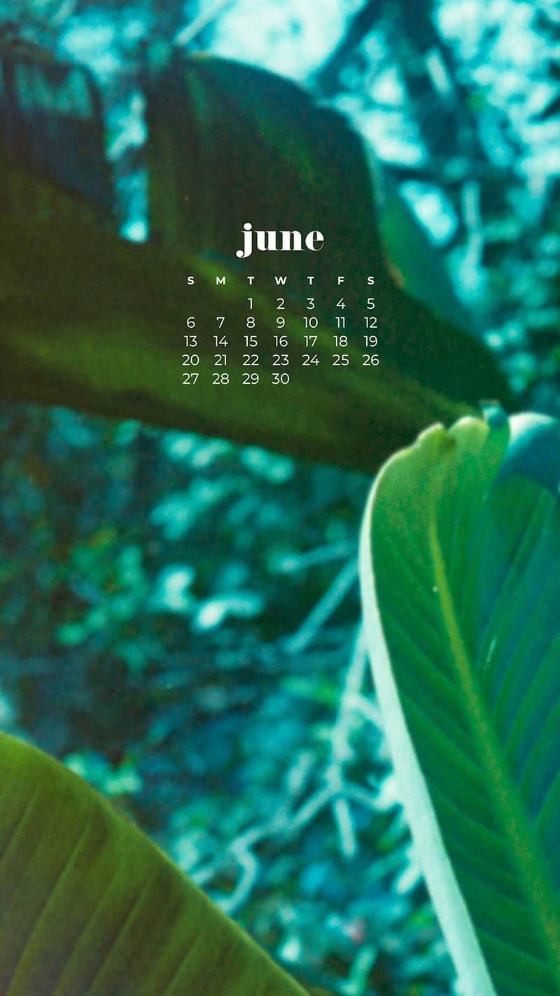 June 2021 wallpaper calendars – 30 FREE, cute, and colorful options!