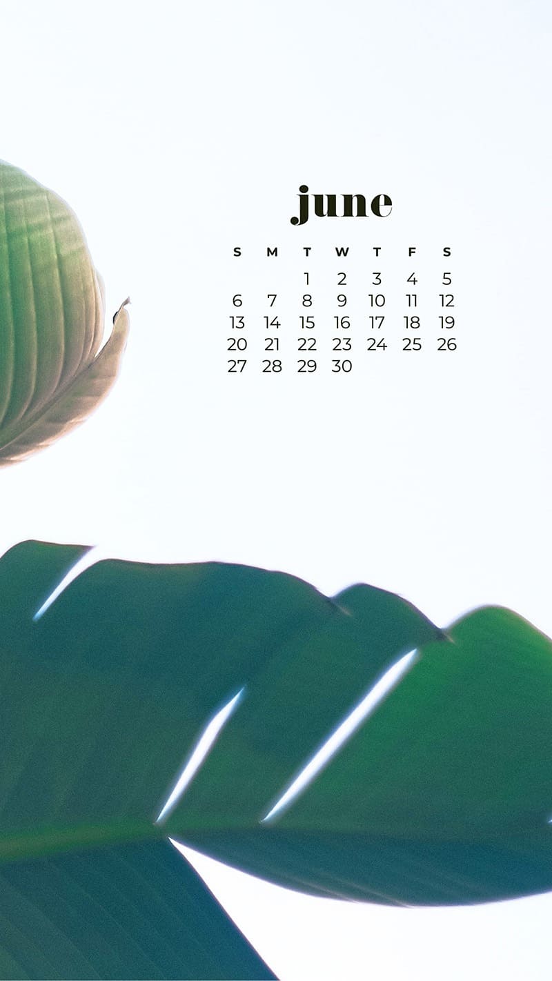 June 2021 wallpaper calendars – 30 FREE, cute, and colorful options!