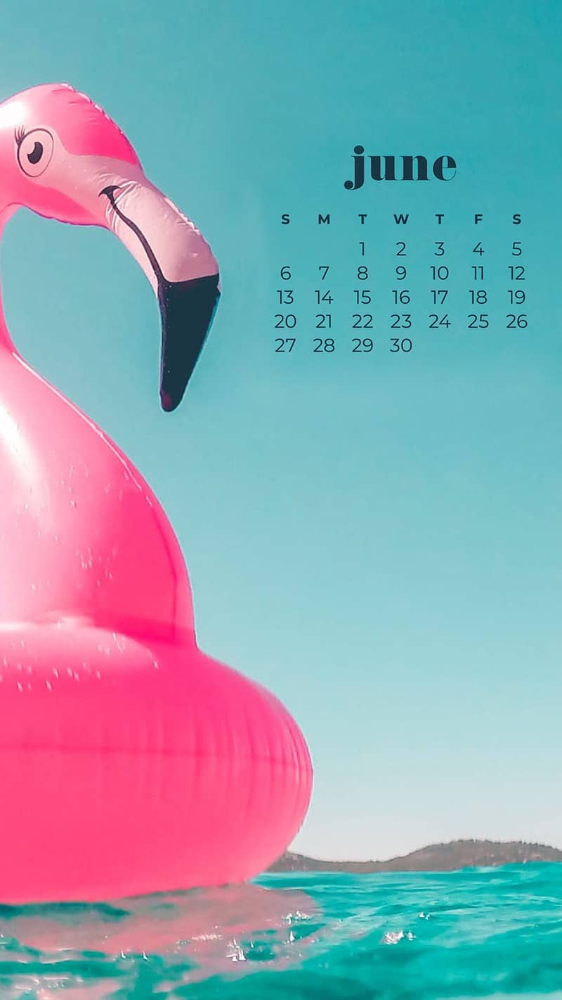 June 2021 wallpaper calendars – 30 FREE, cute, and colorful options!