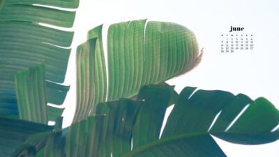 June 2021 wallpaper calendars – 30 FREE, cute, and colorful options!