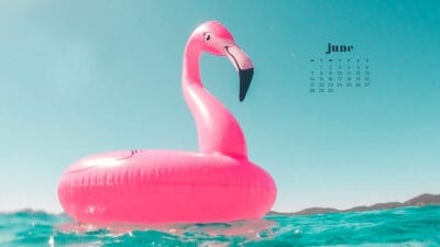 June 2021 wallpaper calendars – 30 FREE, cute, and colorful options!