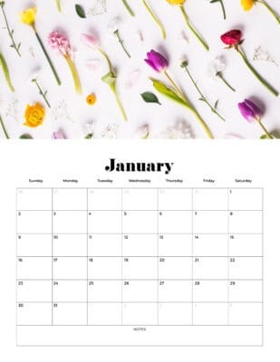 Free 2022 calendars — 250 beautiful designs to choose from!