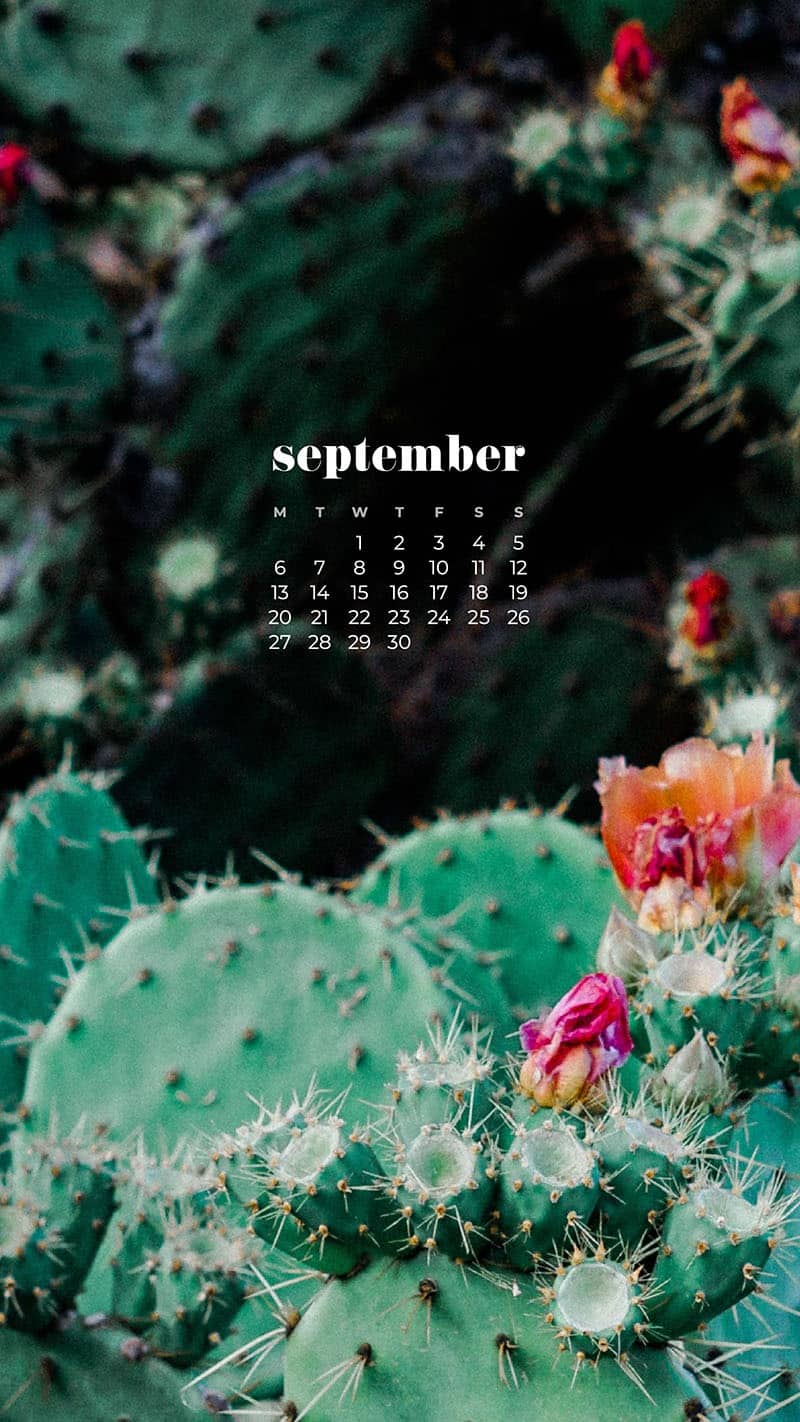 September 2021 wallpapers – 35 FREE calendars for desktop and phones!