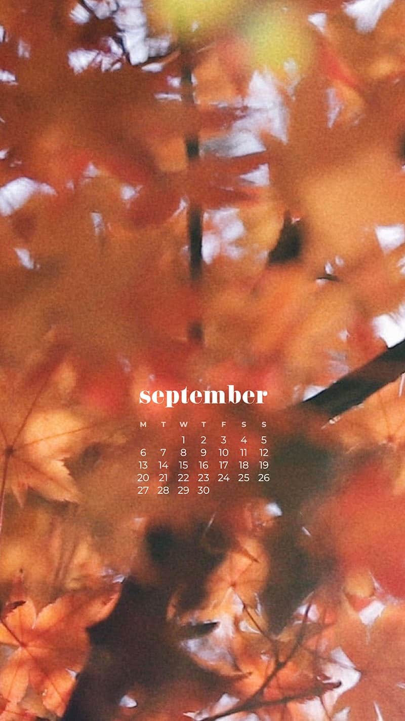 September 2021 wallpapers – 35 FREE calendars for desktop and phones!