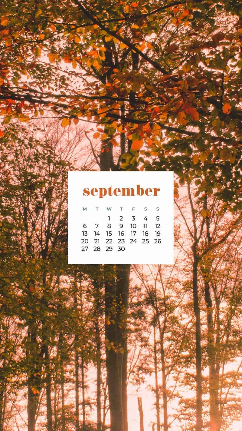 September 2021 wallpapers – 35 FREE calendars for desktop and phones!