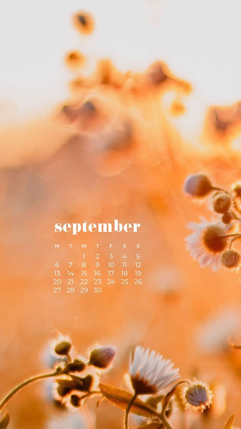 September 2021 wallpapers – 35 FREE calendars for desktop and phones!
