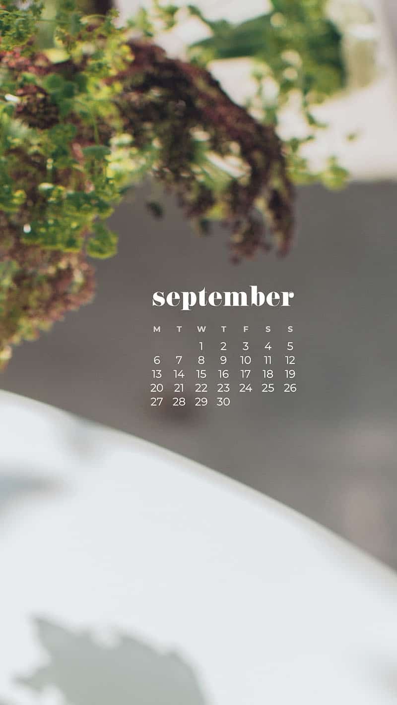 September 2021 wallpapers – 35 FREE calendars for desktop and phones!