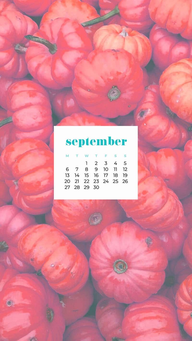September 2021 wallpapers – 35 FREE calendars for desktop and phones!