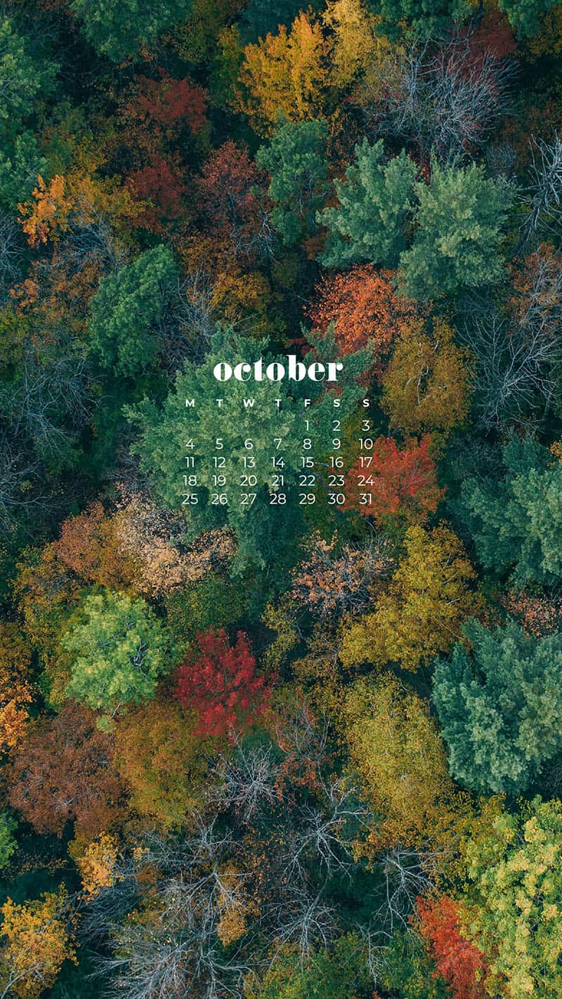 October 2021 wallpapers – 35 FREE calendars for desktop and phones!