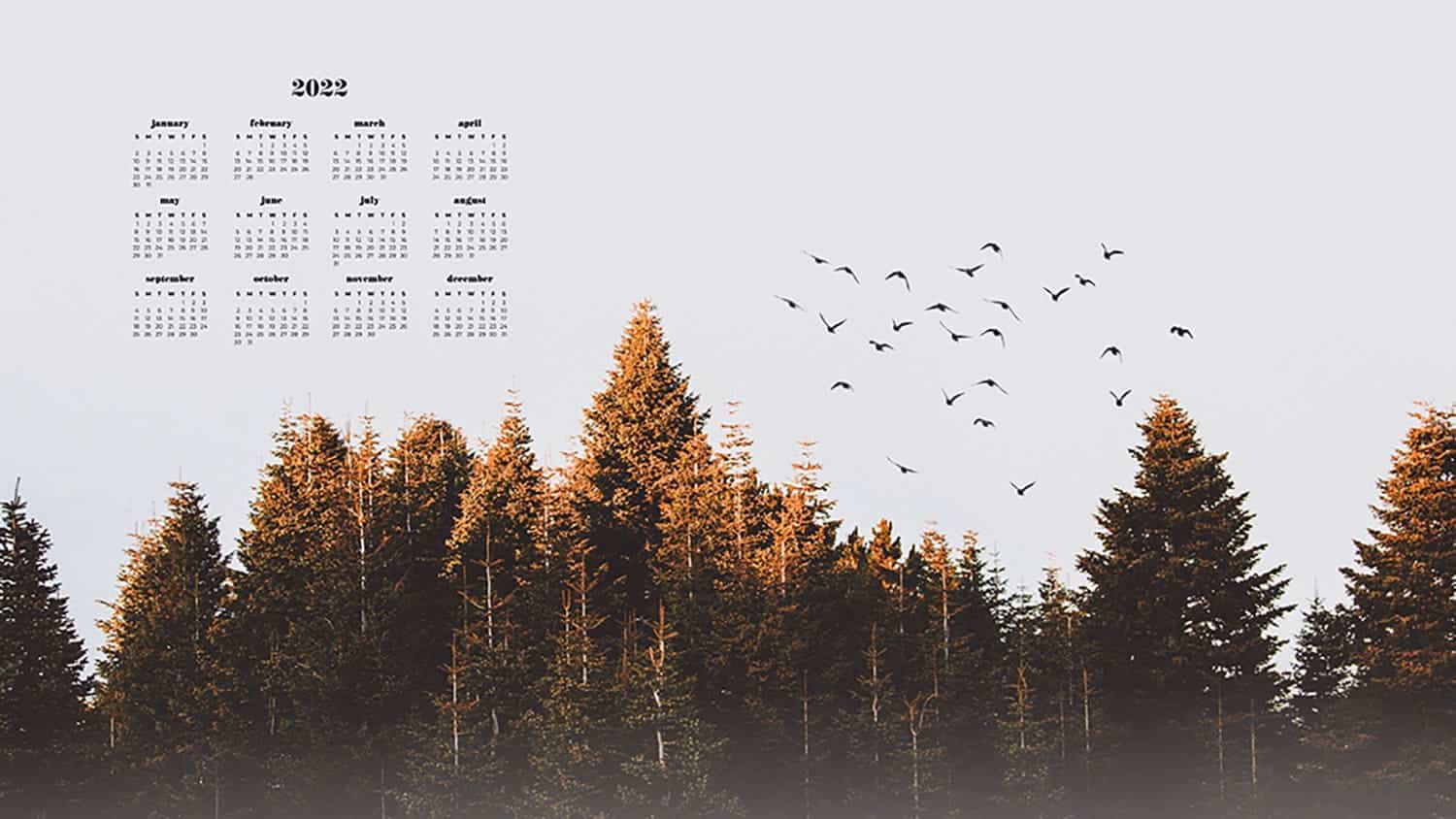 FREE 2022 wallpapers: 90 options, Sunday & Monday start + no-calendar!