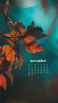 November 2021 wallpapers – 35 FREE calendars for desktop and phones!