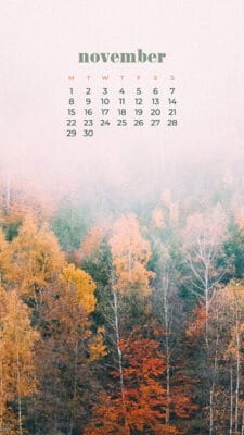 November 2021 wallpapers – 35 FREE calendars for desktop and phones!