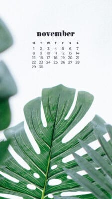 November 2021 wallpapers – 35 FREE calendars for desktop and phones!