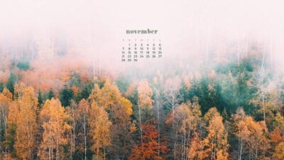 November 2021 wallpapers – 35 FREE calendars for desktop and phones!