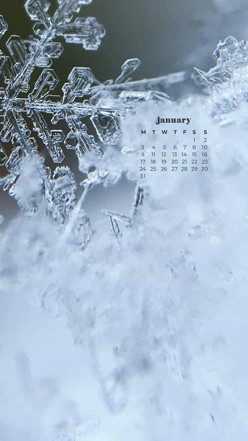 January 2022 wallpapers – 45 FREE calendars for your desktop & phone!