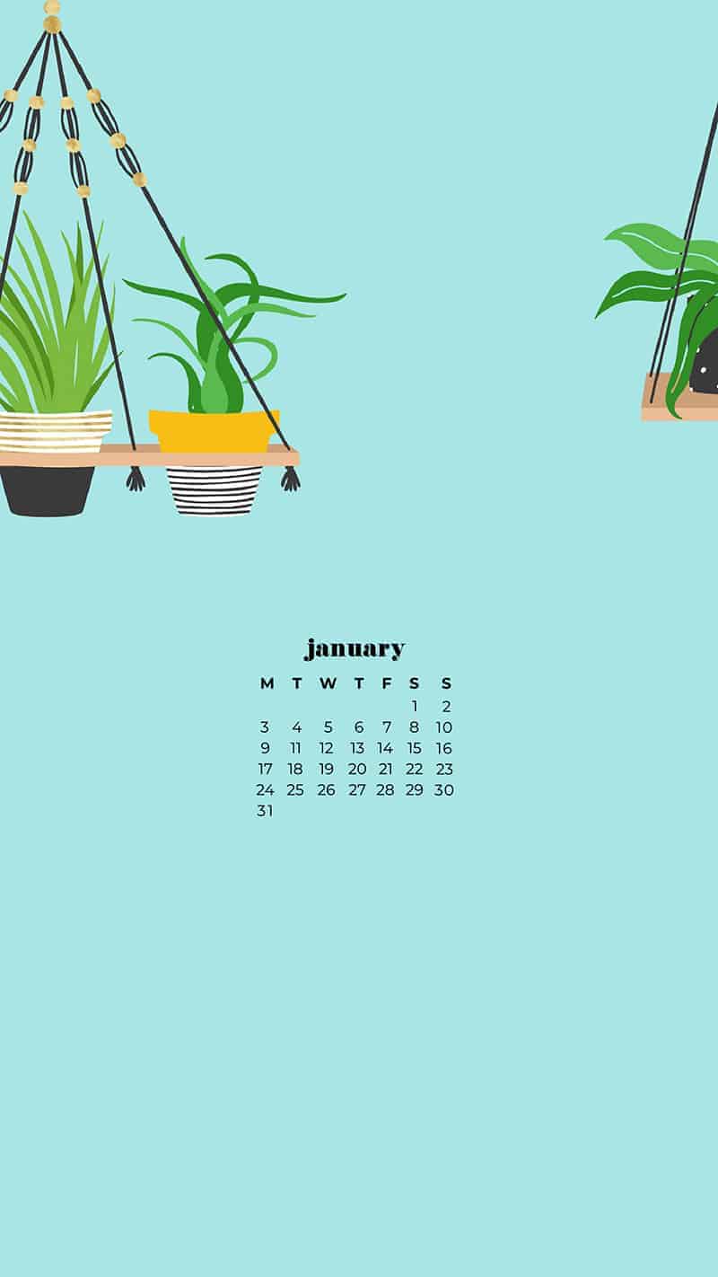 January 2022 wallpapers – 45 FREE calendars for your desktop & phone!